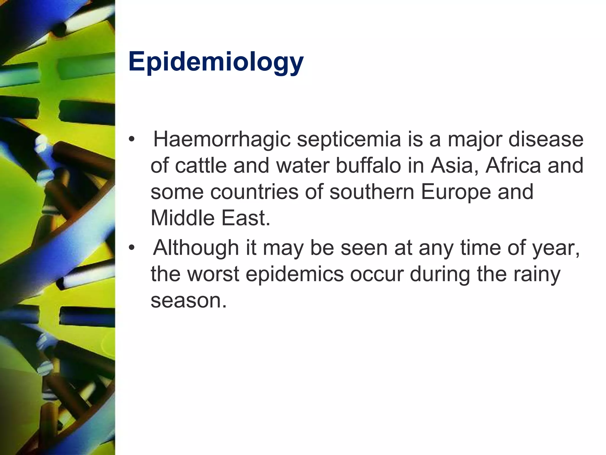 Haemorrhagic sapticemia in Livestock | PPTX