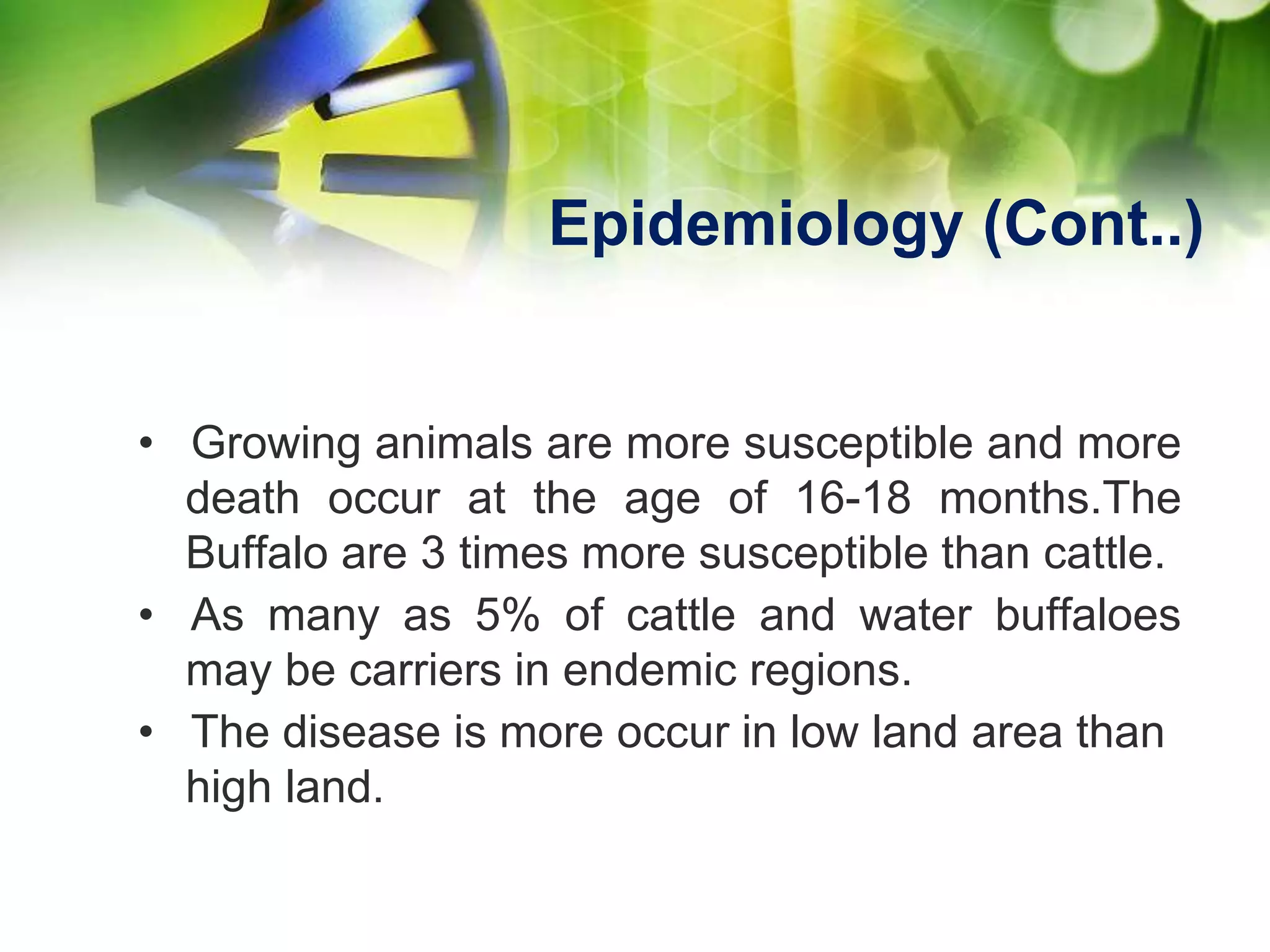 Haemorrhagic sapticemia in Livestock | PPTX
