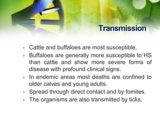 Haemorrhagic sapticemia in Livestock | PPTX