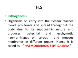 Haemorrhagic_Septicemia in Ruminant ,Gal ghotus | PPTX