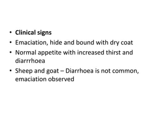 Haemorrhagic_Septicemia in Ruminant ,Gal ghotus | PPTX