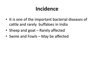Haemorrhagic_Septicemia in Ruminant ,Gal ghotus | PPTX
