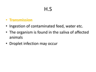 Haemorrhagic_Septicemia in Ruminant ,Gal ghotus | PPTX