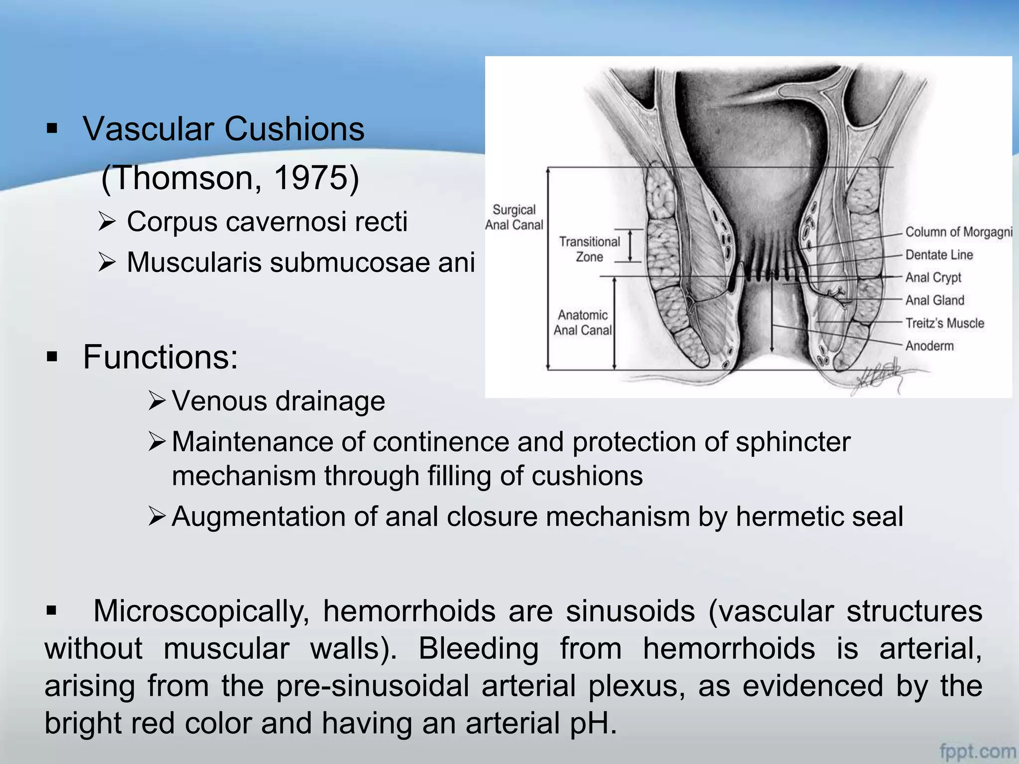 Haemorrhoids and its Management: How can Ayurveda have the upper hand ...