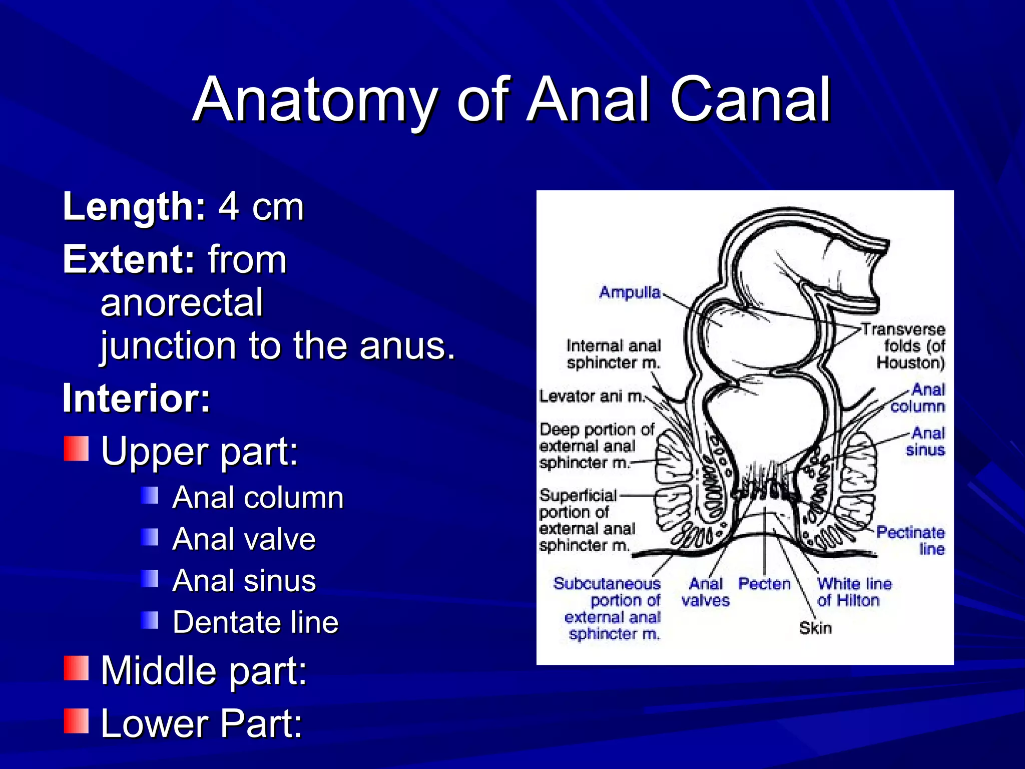Haemorrhoids and perianal diseases | PPT