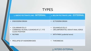 Haemorrhoids ppt | PPTX