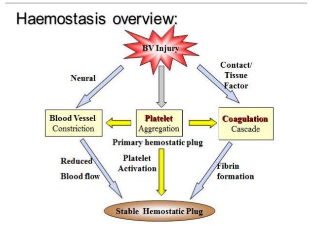 Haemostasis
