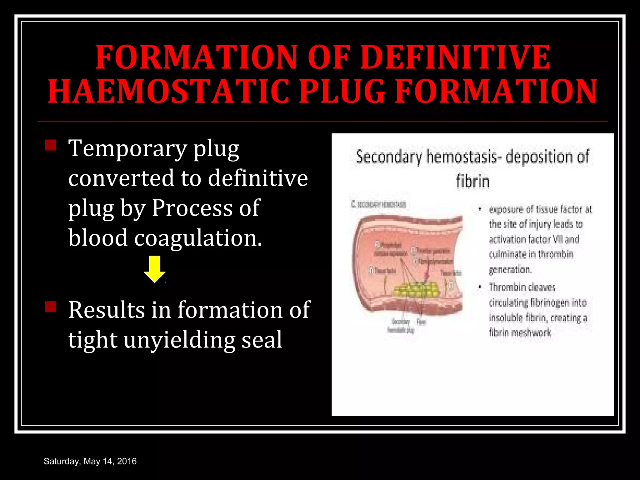 HAEMOSTASIS COAGULATION OF BLOOD | PPT
