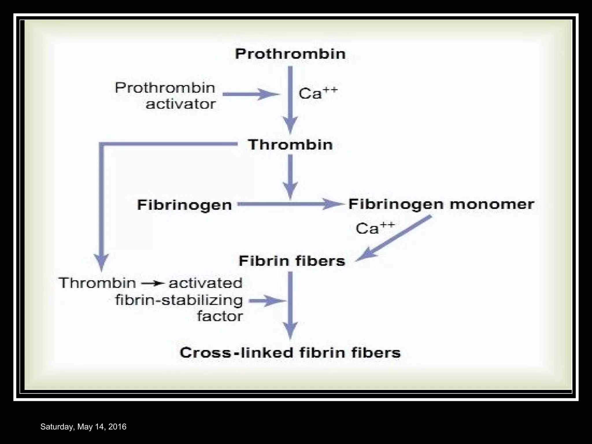 HAEMOSTASIS COAGULATION OF BLOOD | PPT