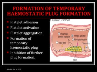 HAEMOSTASIS COAGULATION OF BLOOD | PPT