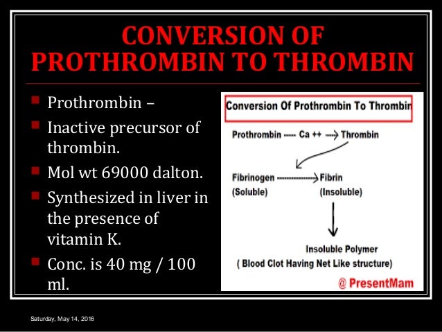 HAEMOSTASIS COAGULATION OF BLOOD
