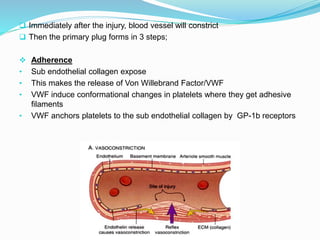 Haemostasis | PPTX