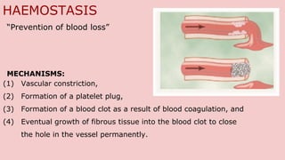 Haemostasis | PPT
