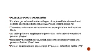 Haemostasis: Body stops bleeding via vessel constrict, platelet plug ...