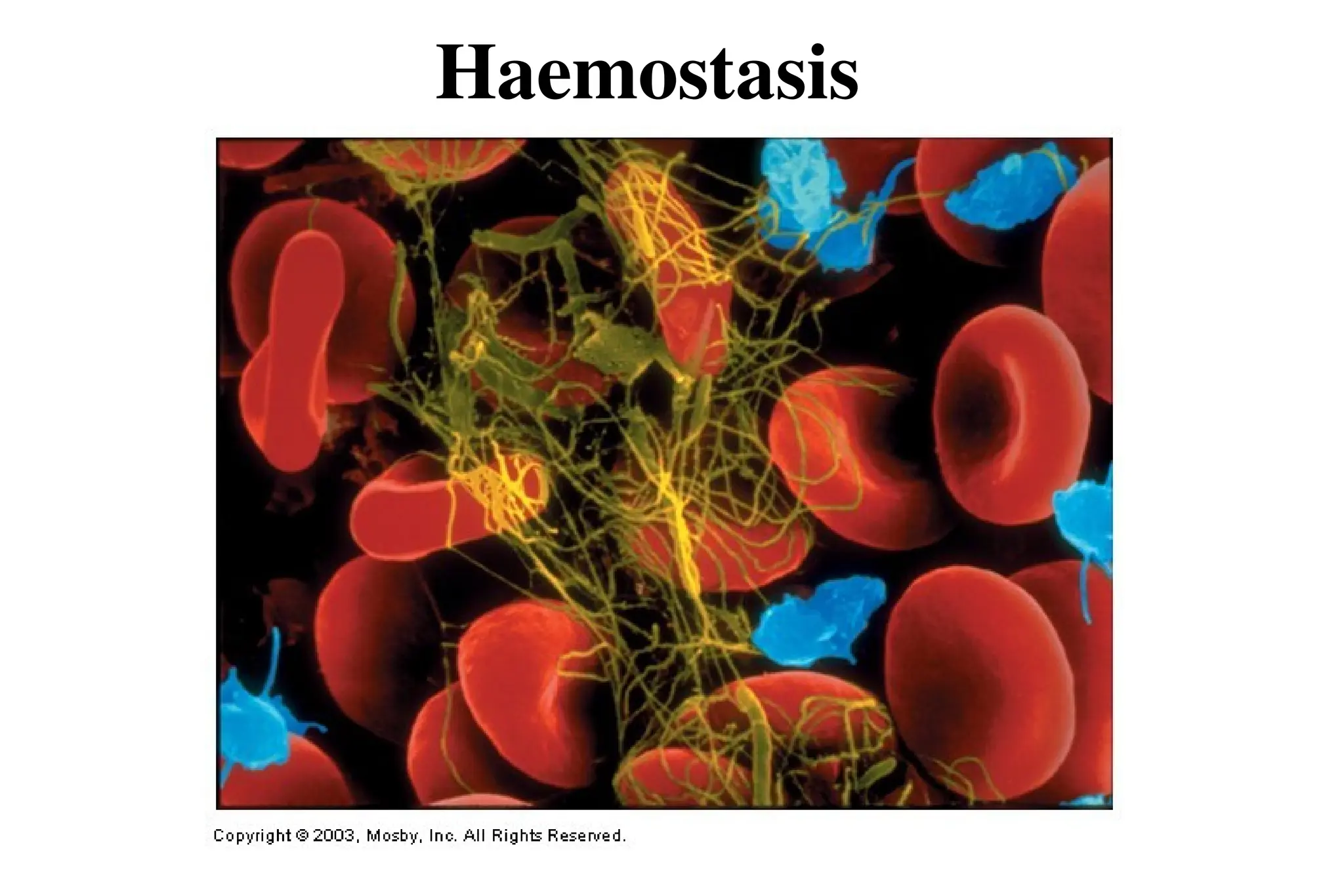 HAEMOSTASIS, circulatory system. Involves the arrest of bleeding. | PPTX