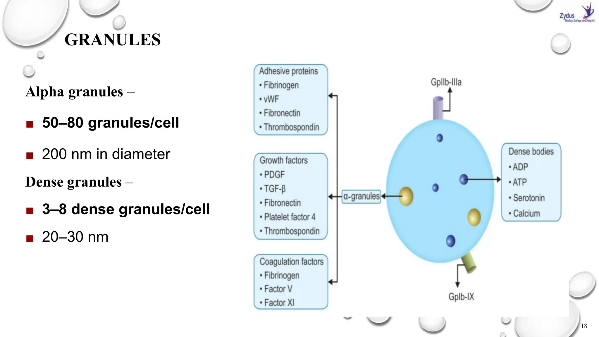 Platelet and Haemostasis.pptx