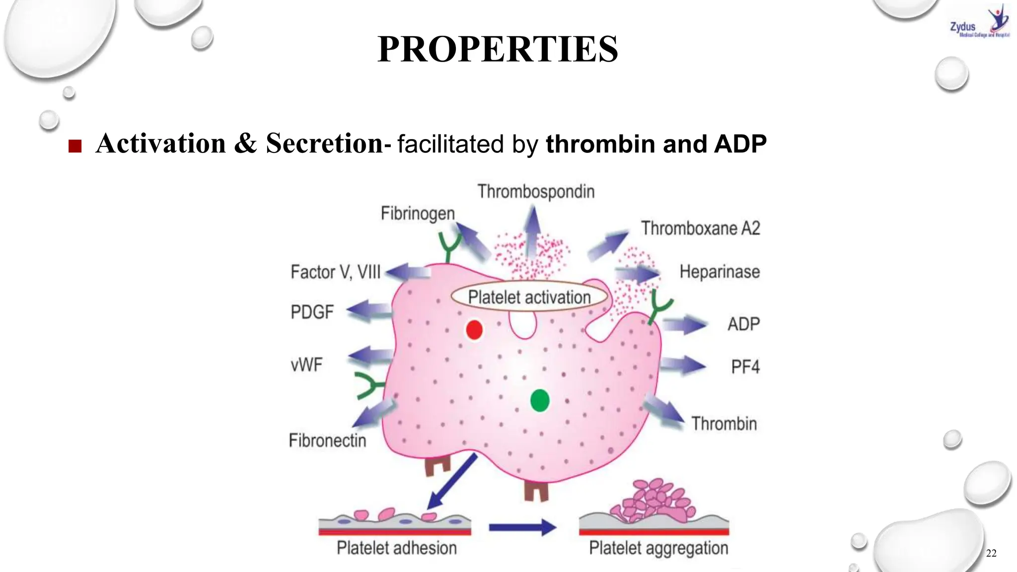 Platelet and Haemostasis.pptx