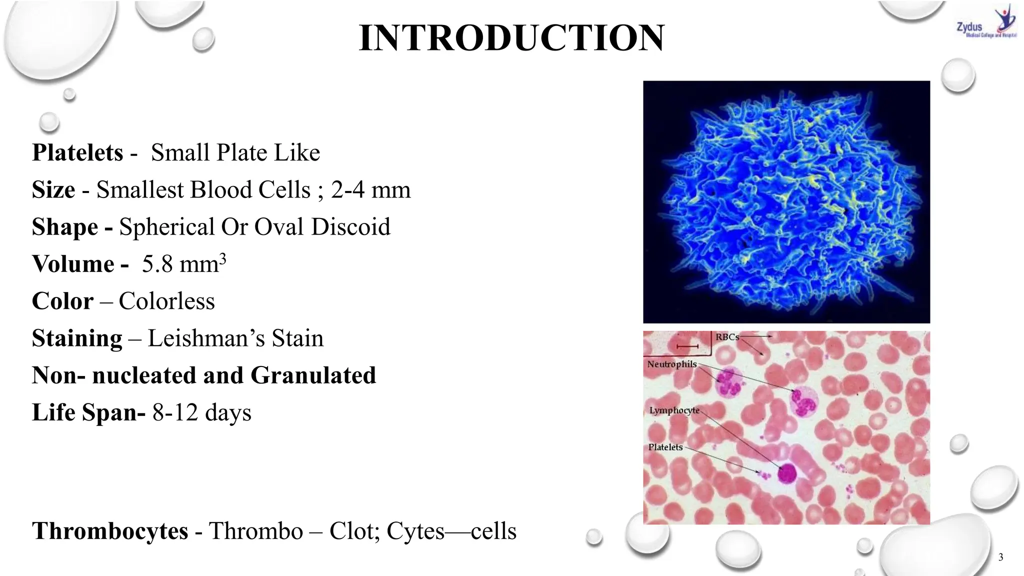 Platelet and Haemostasis.pptx