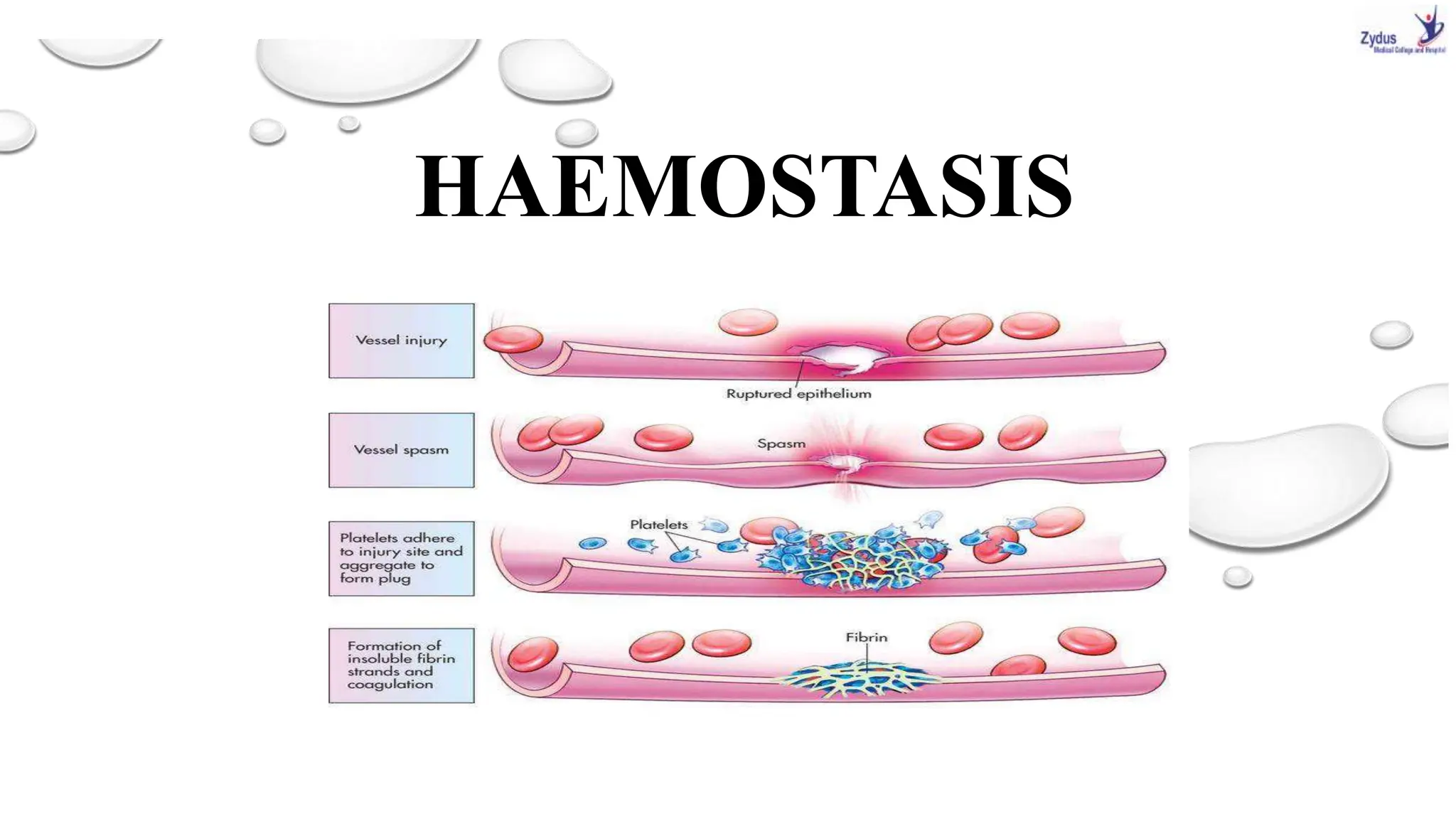 Platelet and Haemostasis.pptx