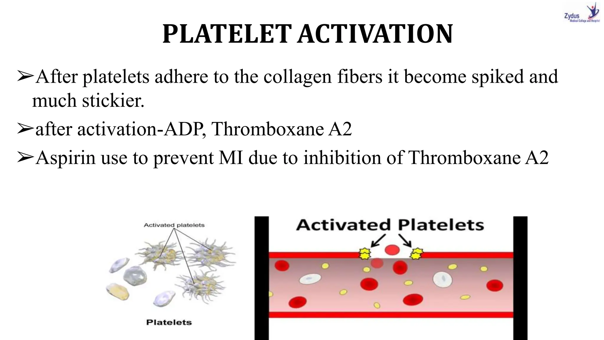 Platelet and Haemostasis.pptx
