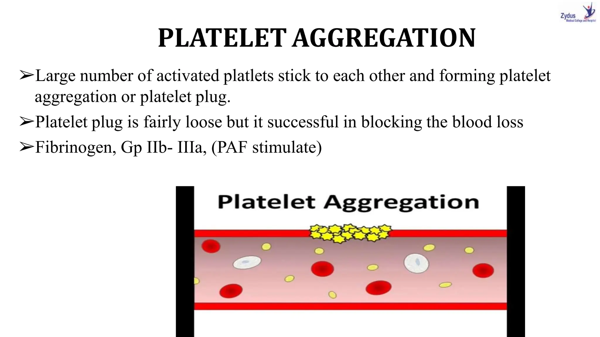 Platelet and Haemostasis.pptx