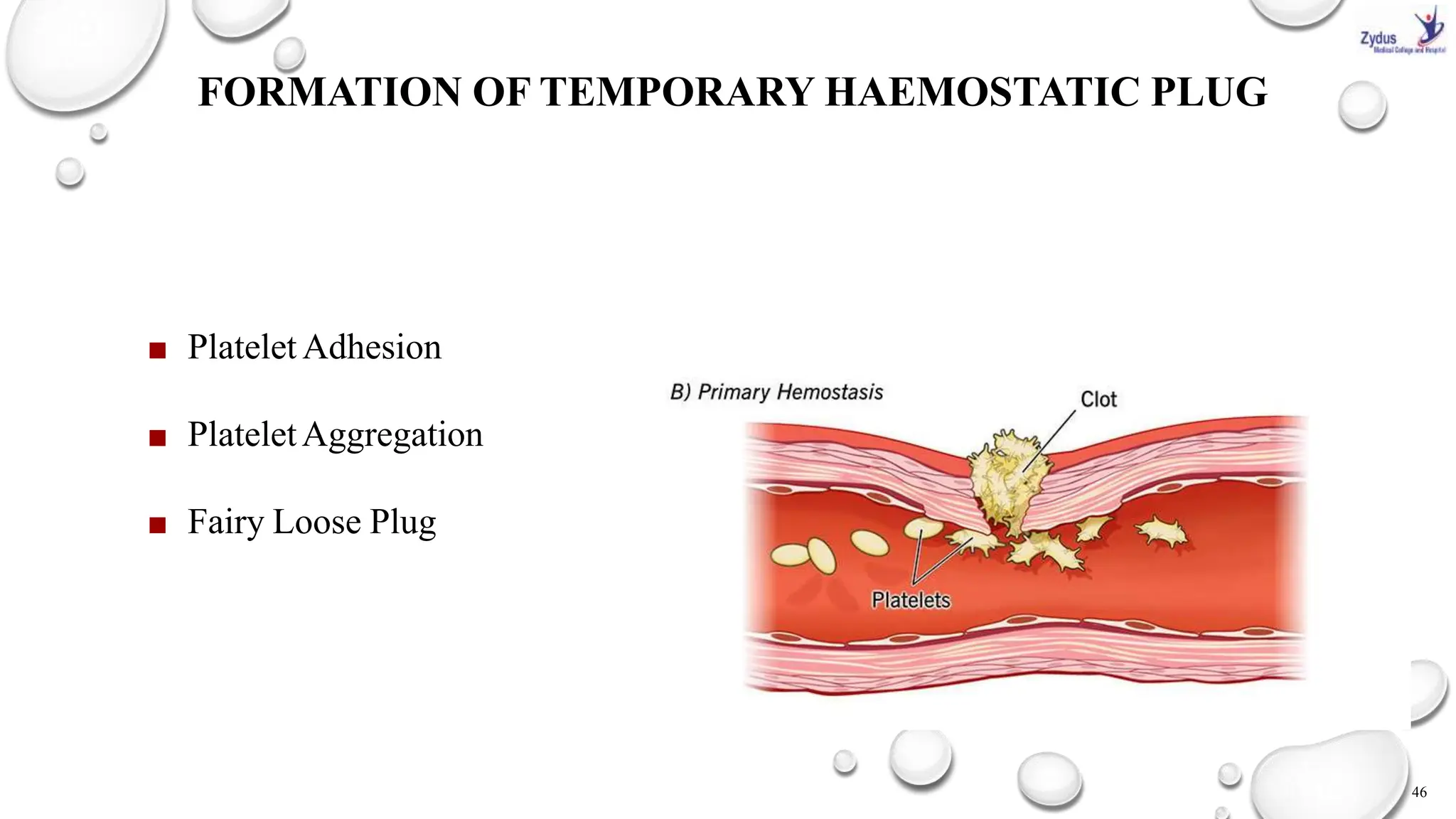 Platelet and Haemostasis.pptx
