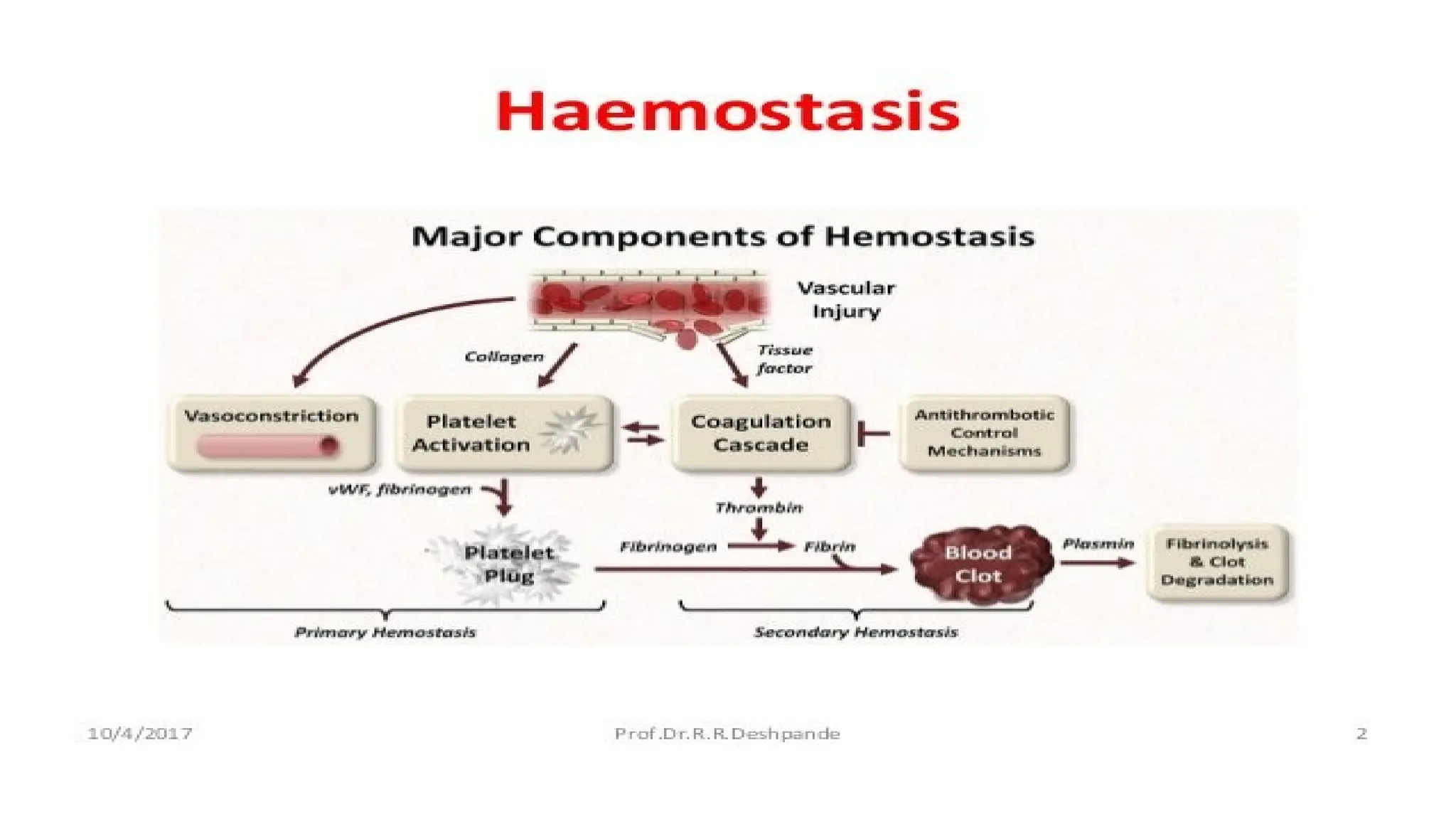 Haemostasis and bleeding disorders. lecture.pptx