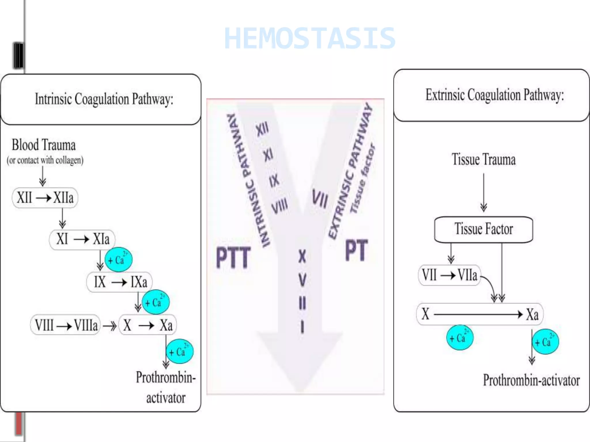 Hemostasis, hemorrhage and blood transfusion | PPTX