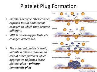 Haemostasis in surgery | PPT