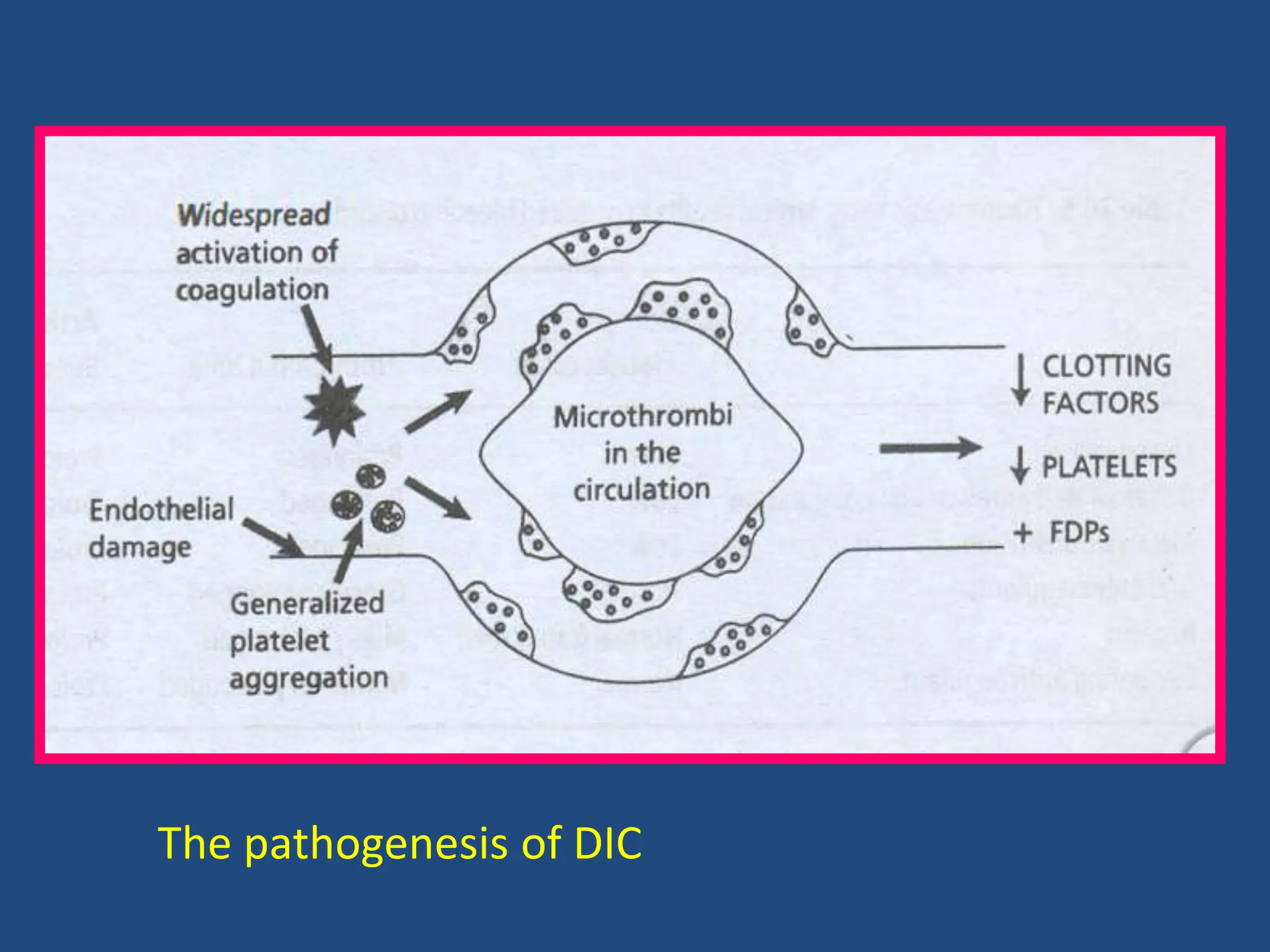 Haemostasis and bleeding disorders for students | PPT