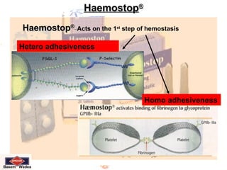 Haemostop dental | PPT
