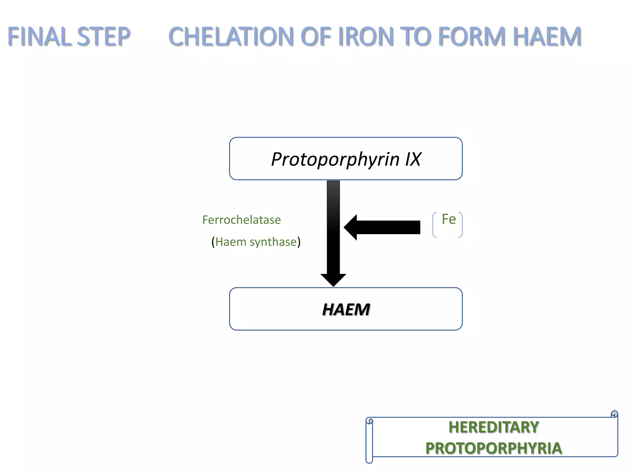 Haem synthesis and porphyria | PPTX