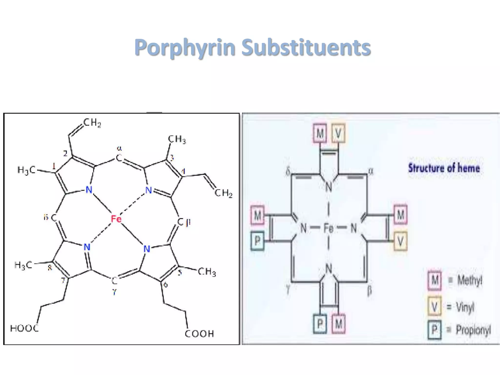 Haem synthesis and porphyria | PPTX