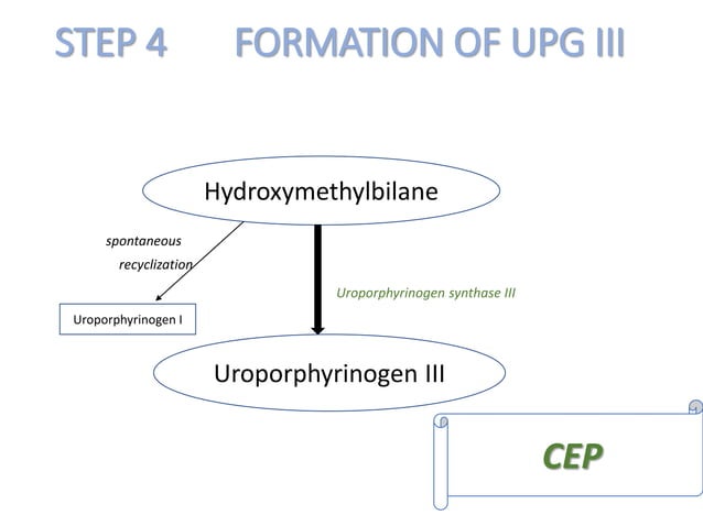 Haem synthesis and porphyria | PPTX | Blood Disorders | Diseases and ...