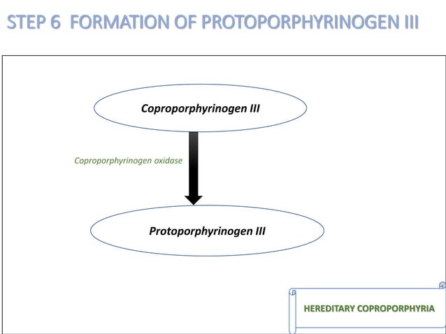 Haem synthesis and porphyria | PPTX | Blood Disorders | Diseases and ...