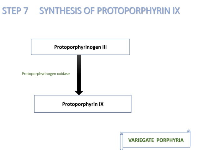 Haem synthesis and porphyria | PPTX | Blood Disorders | Diseases and ...