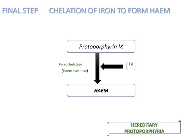 Haem synthesis and porphyria | PPTX | Blood Disorders | Diseases and ...