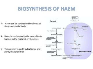 Haem synthesis and porphyria | PPTX