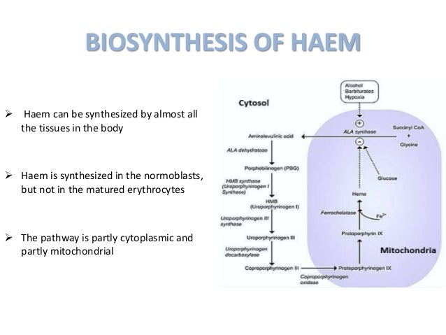 Haem synthesis and porphyria