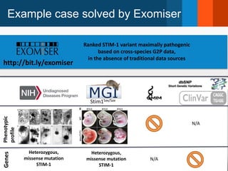 Deep phenotyping to aid identification of coding & non-coding rare ...