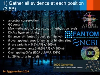 Deep phenotyping to aid identification of coding & non-coding rare ...