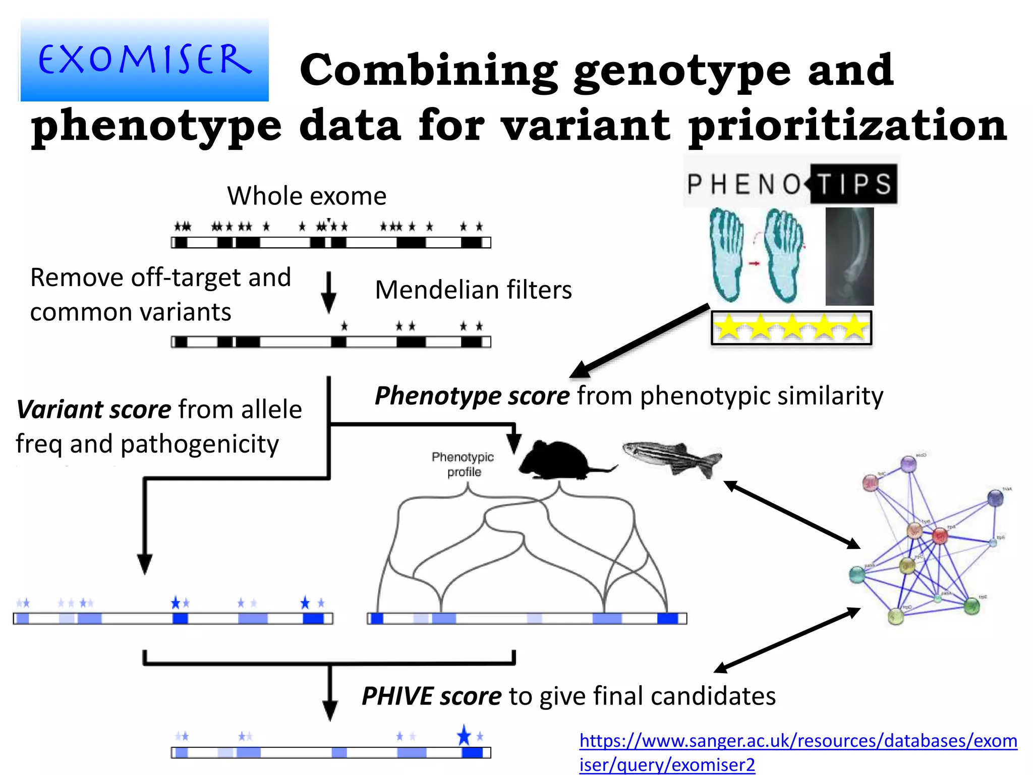Integrating clinical and model organism G2P data for disease discovery ...