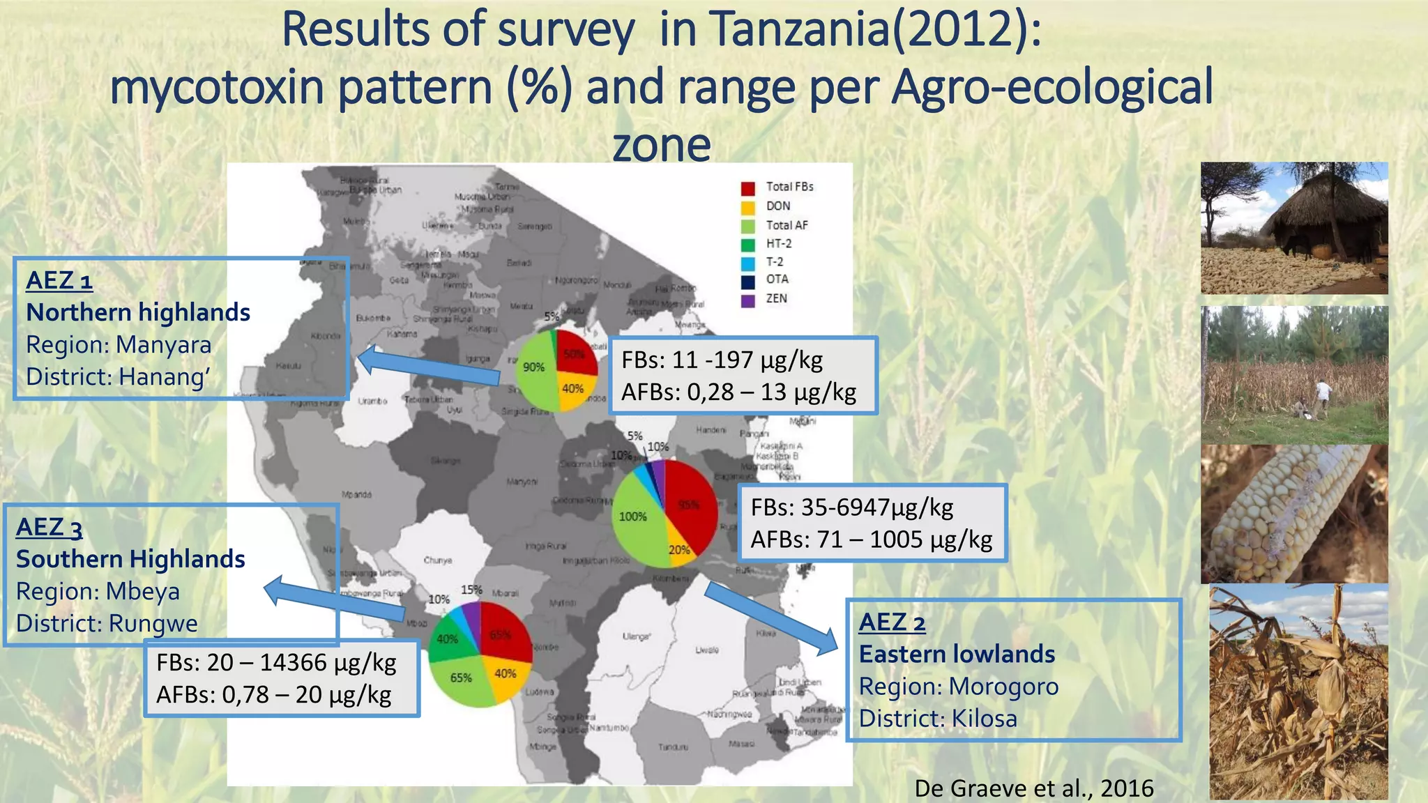 Toxigenic fungi and their associated mycotoxins: a threat for crop ...