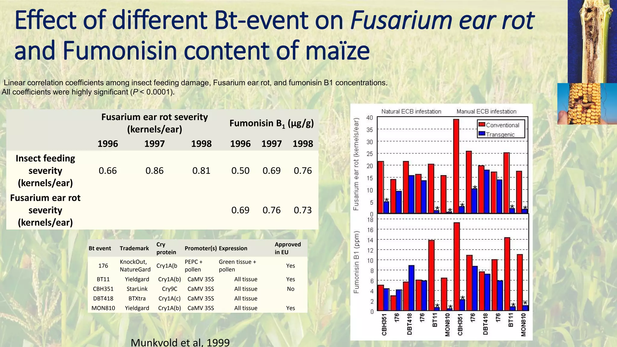 Toxigenic fungi and their associated mycotoxins: a threat for crop ...
