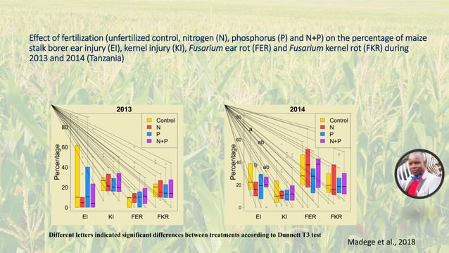 Toxigenic fungi and their associated mycotoxins: a threat for crop ...