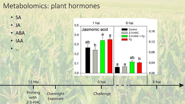 Toxigenic fungi and their associated mycotoxins: a threat for crop ...