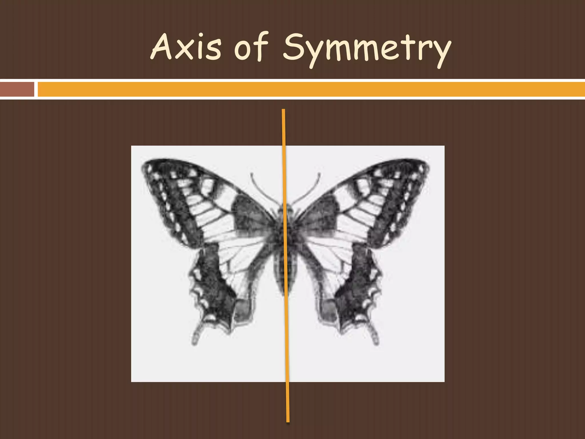 Line Symmetry | PPTX | Beadwork | Arts and Crafts