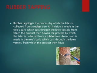 natural rubber composite | PPTX