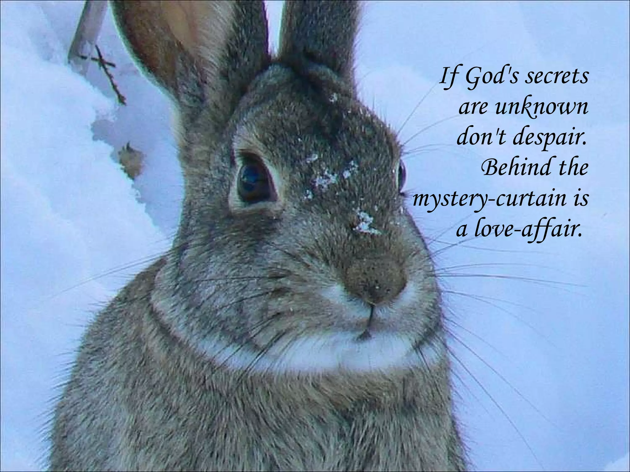 Hafiz, The Persian Poet | PPS