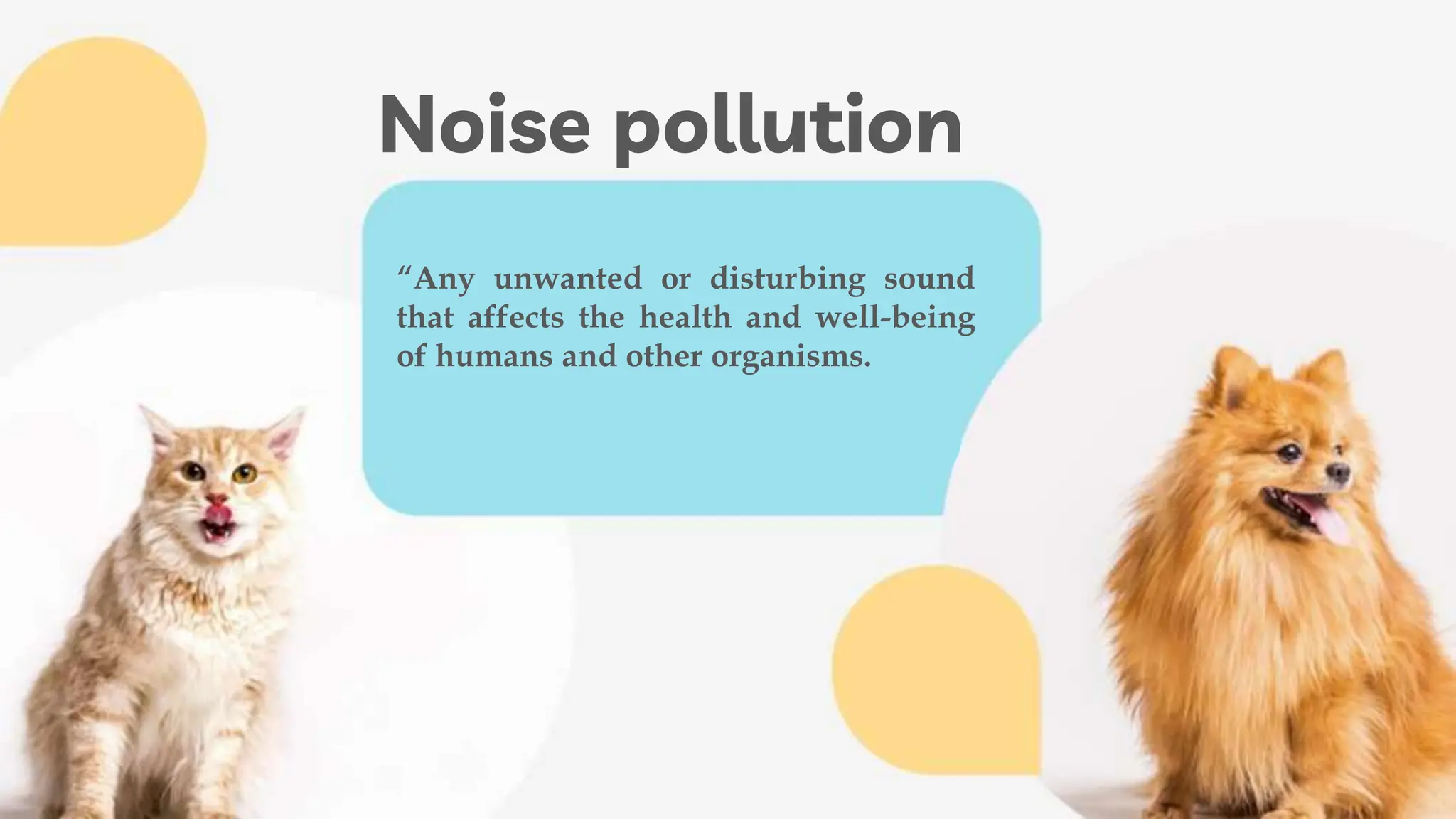 Adverse Effects Of Noise Pollution On Human Health And Animals – GZRGVU